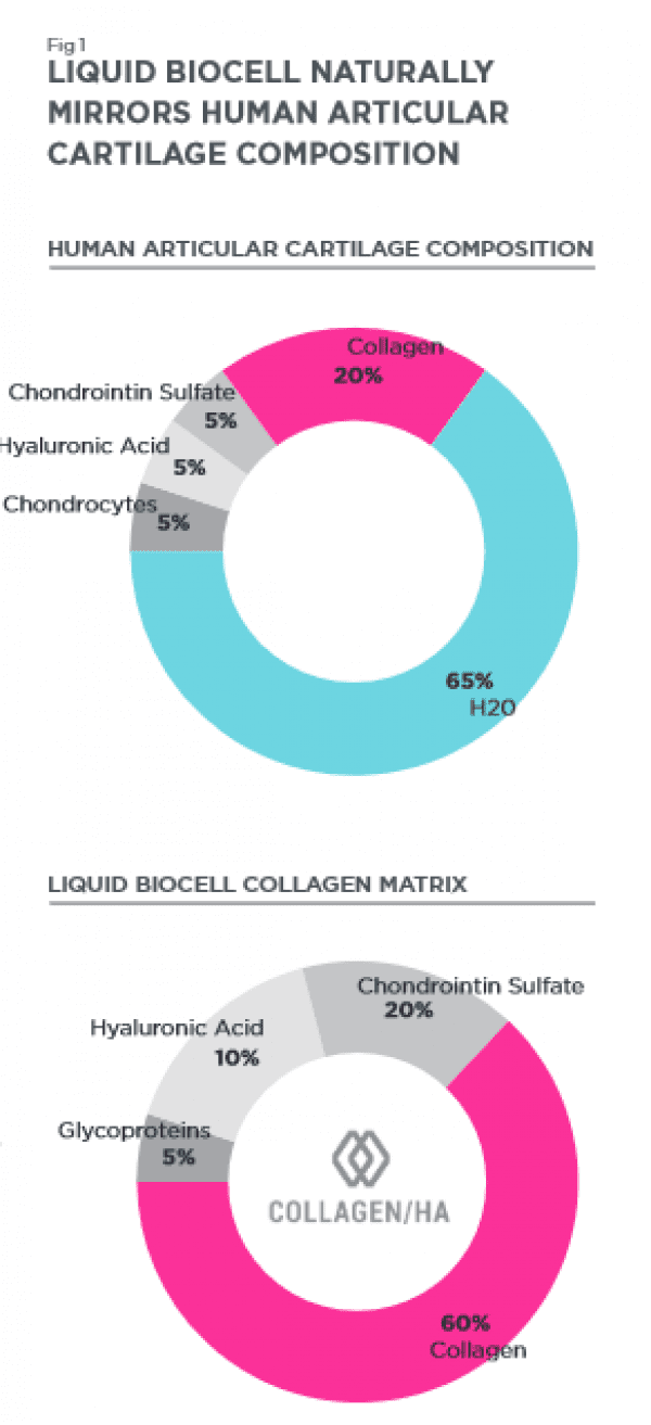 Liquid Biocell Skin - Biocell Guide