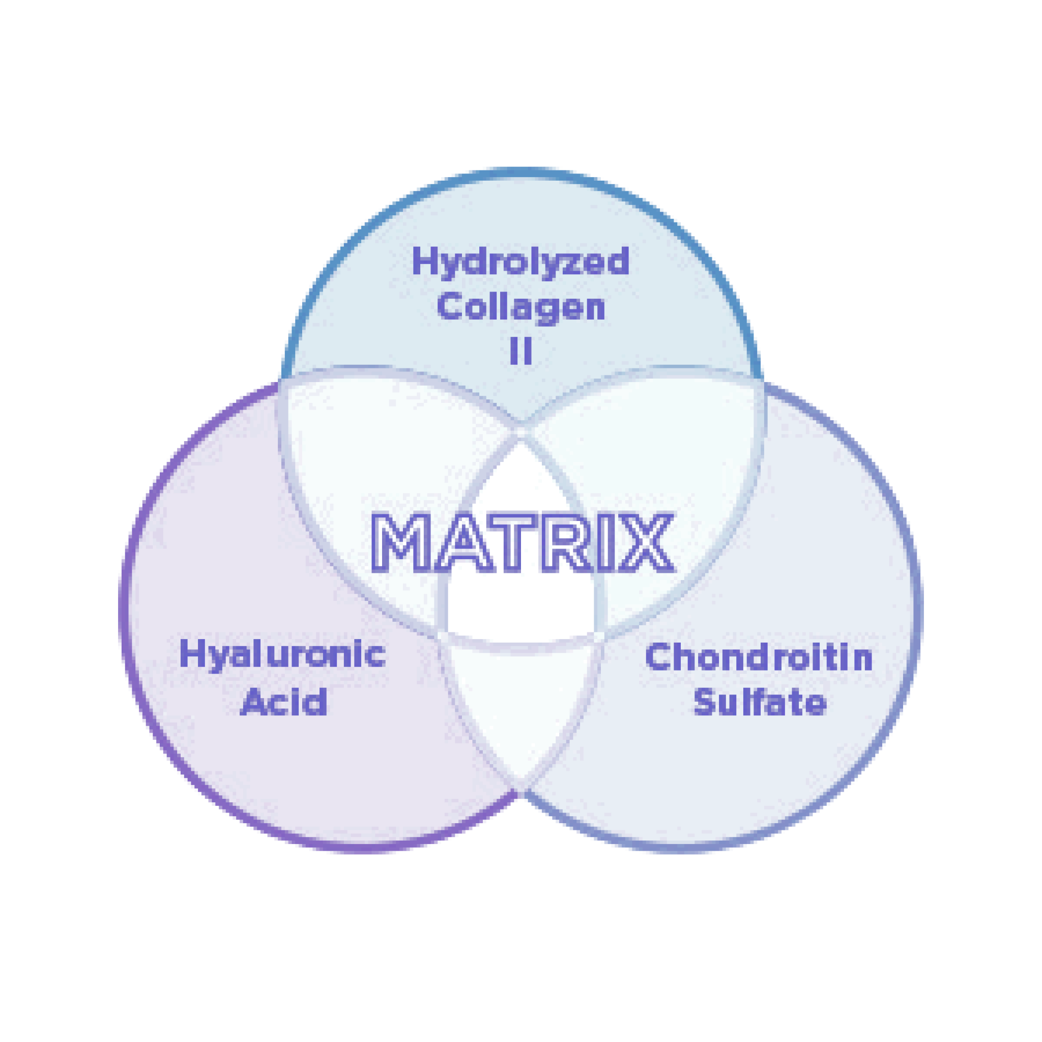Biocell Collagen - Biocell Guide