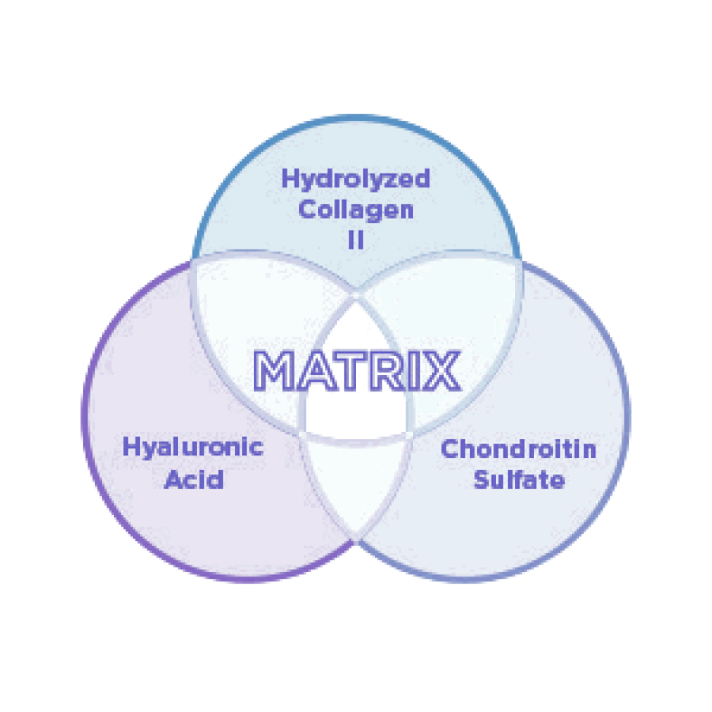 Biocell Collagen - Biocell Guide
